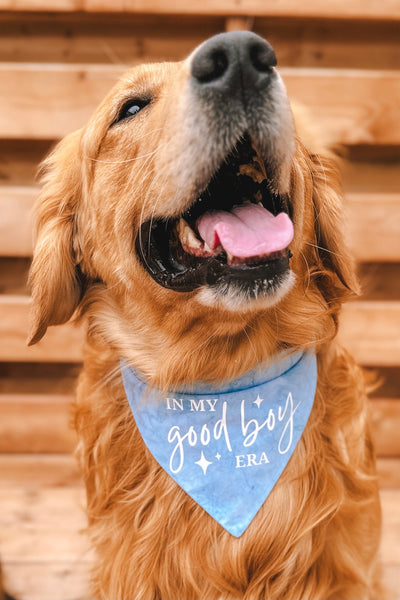 "In My Good Boy Era" Bandana – Eco4Paws